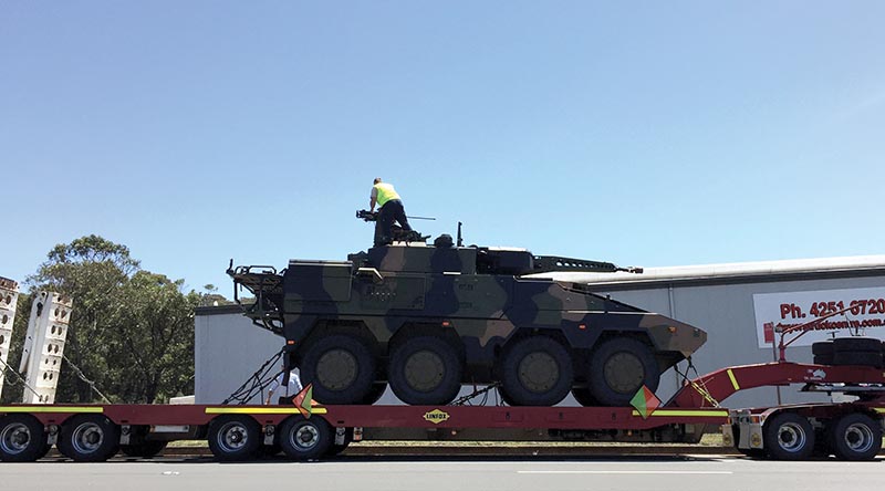 Boxer on leash in Port Kembla - CONTACT magazine