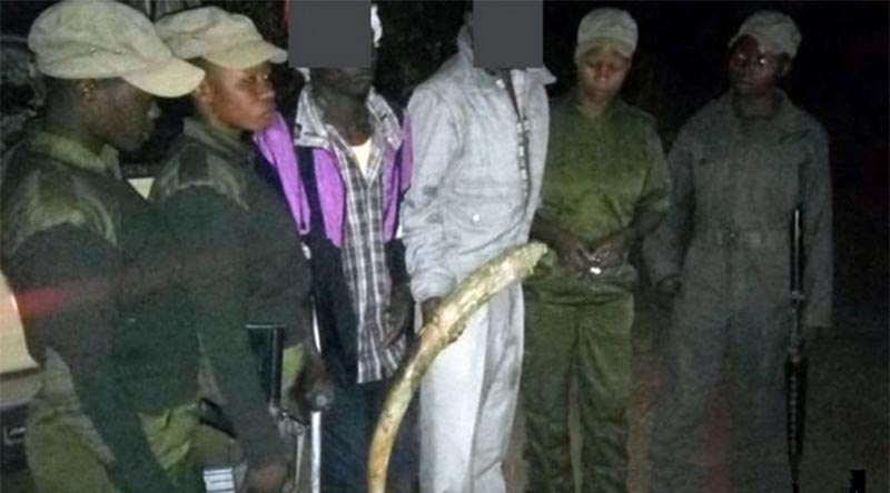 Akashinga Warriors make important anti-poaching arrests – CONTACT magazine