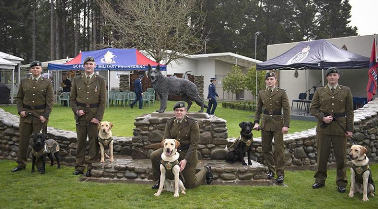 NZDF graduates five new explosive detector dog teams - CONTACT magazine
