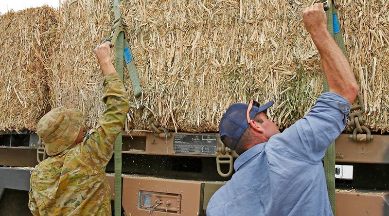 Army assists with fodder distribution – CONTACT magazine