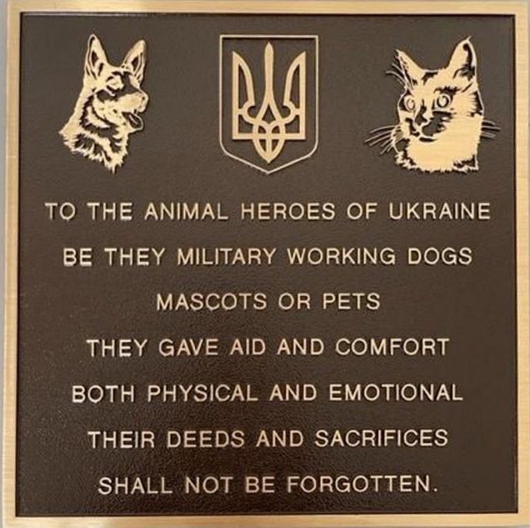 Ukraine’s war-affected animal population remembered – CONTACT magazine